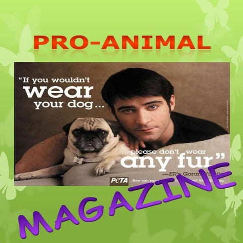 Pro animal magazine | PPTX | Veterinary Medicine | Pets