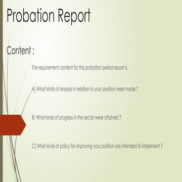 Probation Period Report Example (CTQ & SWOT) | PPTX