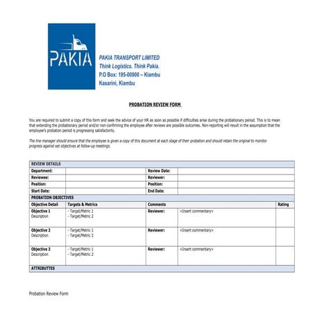 Probation Review Template for startups in the early stages | DOCX