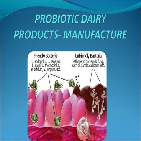 Observation yogurt bacteria (i) | DOCX