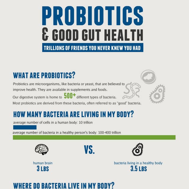 Probiotics & Good Gut Health | PDF