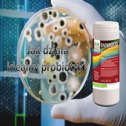 Probiotyk | PPTX
