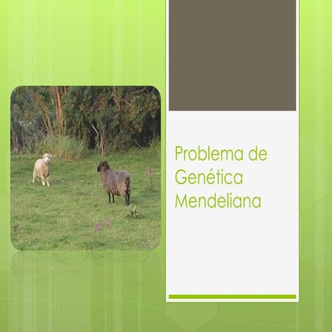 Problema de genética mendeliana | PPS