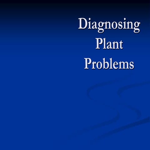Disease Problem Diagnosing | PPT