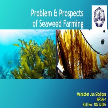 Problem & prospects of seaweed farming | PPTX
