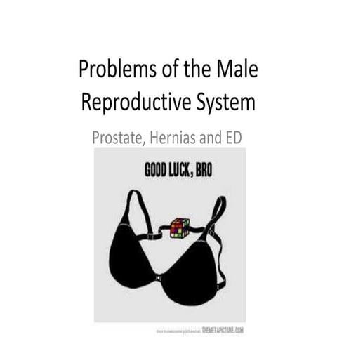 Problems of the male reproductive system | PPTX