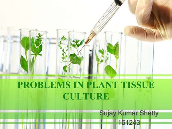 Introduction-to-Plant-Cell-Culture-lec1 (1).ppt