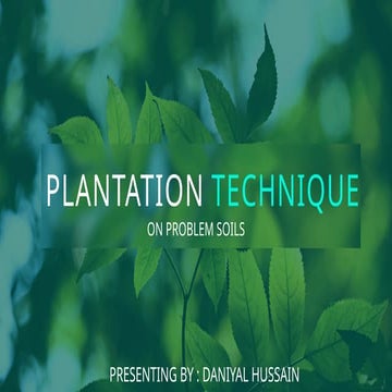 problem soils and tree plantation techniques.pptx