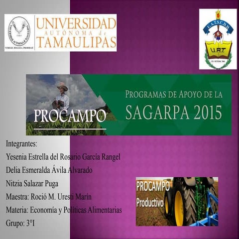 PROGRAMA-PROCAMPO | PPTX