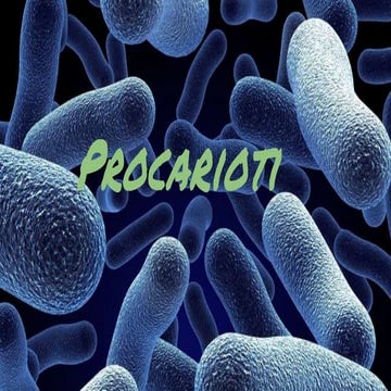 Procarioti | PPTX