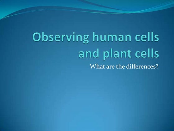 Onion and cheek cell lab | DOC | Biological Sciences | Science
