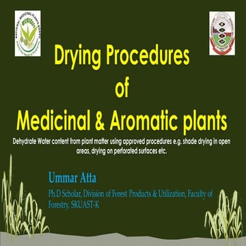Drying Procedures of Medicinal & Aromatic plants | PDF