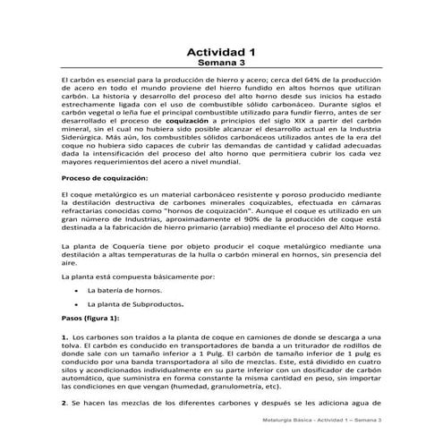 Proceso coque | PDF
