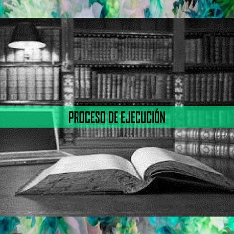 Proceso de ejecucion | PPT
