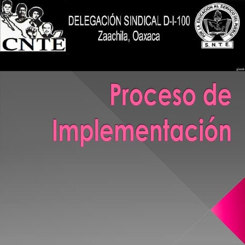 Proceso de implementación | PDF