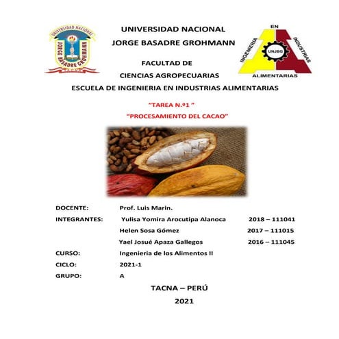 Proceso del cacao | PDF
