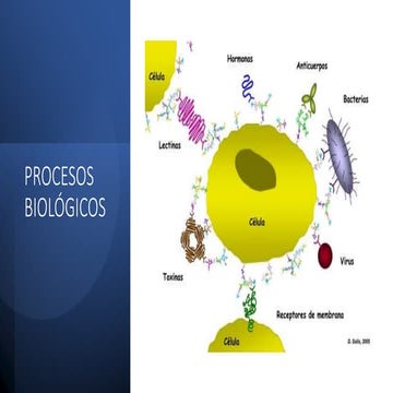 PROCESOS BIOLÓGICOS presentación 23.pptx