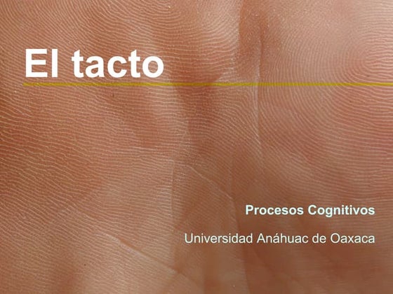 Corpusculos de la piel | PDF