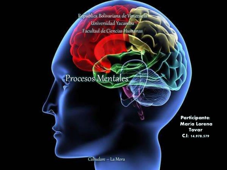 Procesos mentales
