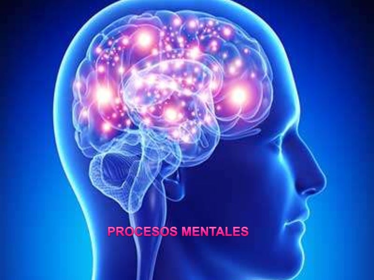 Procesos mentales mariac