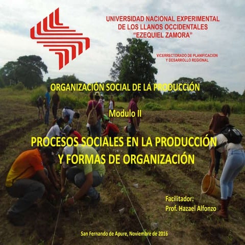 PROCESOS SOCIALES EN LA PRODUCCIÓN Y FORMAS DE ORGANIZACIÓN módulo ii ...