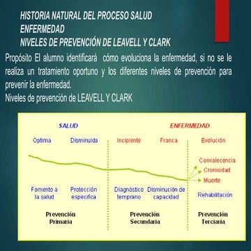 niveles de prevención de leavell y clark | PDF
