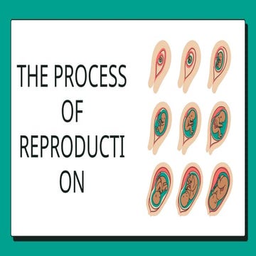 PROCESS-OF-REPRODUCTION.pptxsdfsdfdsfsdfsdf | PPTX