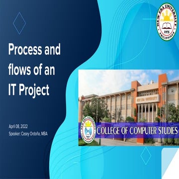 Process and flows of an IT Project - presentation.pdf
