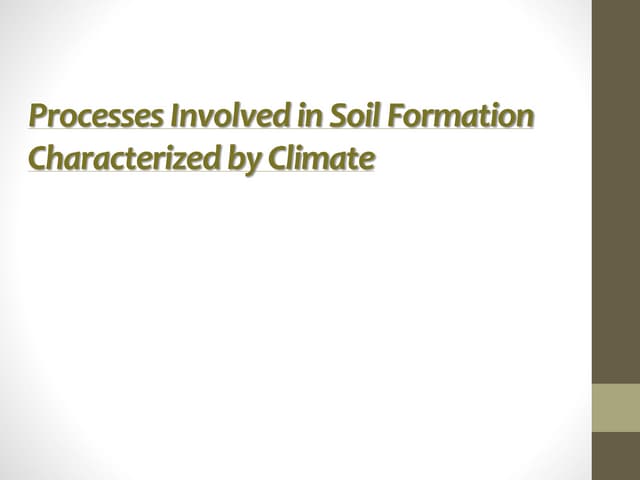 The Process of Soil Formation | PPTX