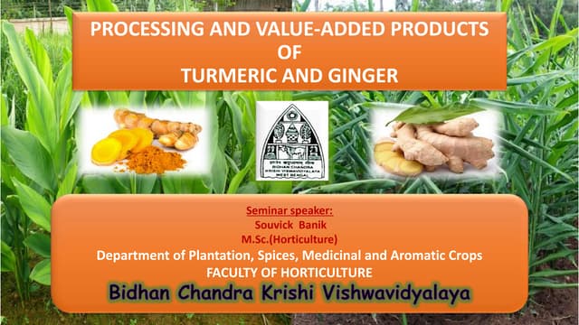 turmeric cultivativation , production technology of turmeric | PPTX