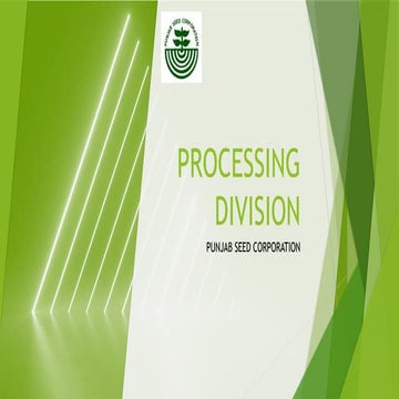 PROCESSING DIVISION OF PUNJAB SEED CORPORATION.pptx