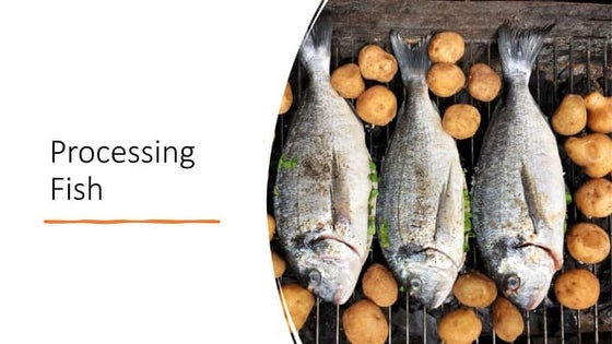 Principles of fish preservation and processing | PPT