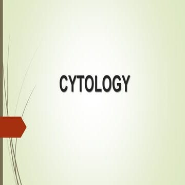 PROCESSING LATEST FINAL.pptx