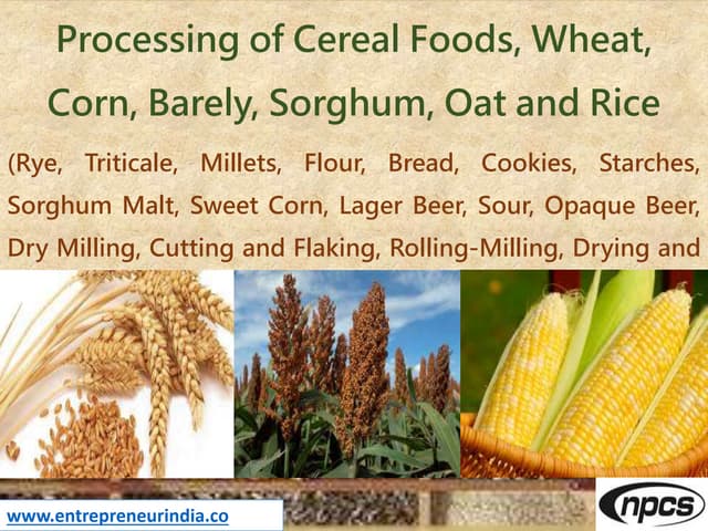 Structure and composition of corn maize | PPTX
