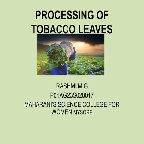 INTRODUCTION TO THE PROCESSING OF TOBACCO LEAVES.pptx