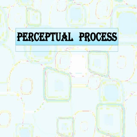 process in perception in organisational behaviour | PPT