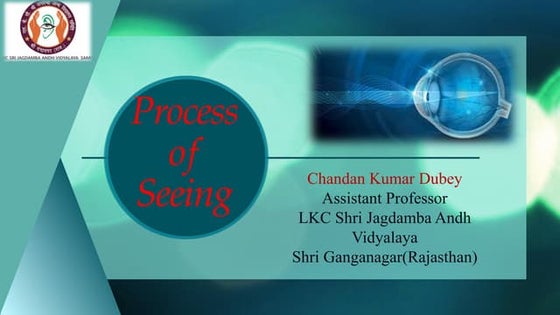 anatomy and physiology eye.pdf