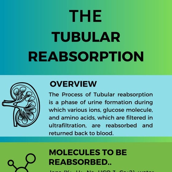 ”KIDNEY ABSCESS” Navigating the journey of cure | PDF