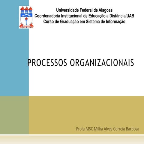 PROCESSOS ORGANIZACIONAIS - representação | PPT