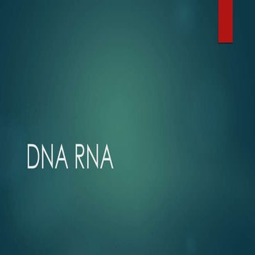 Processamento rna | PPTX