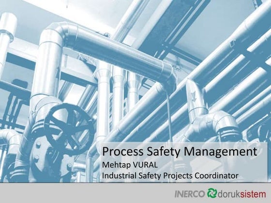 THE 14 ELEMENTS OF PROCESS SAFETY MANAGEMENT | PDF