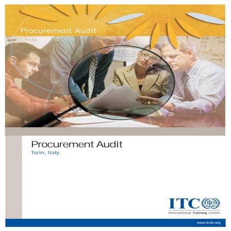 Procurement audit | PDF