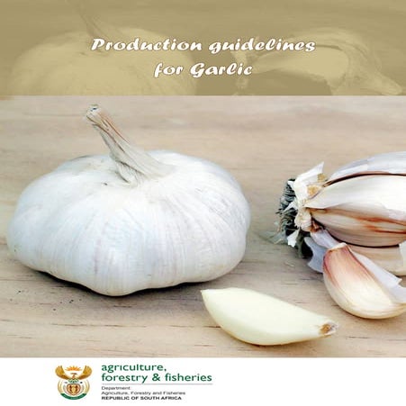 Prod guidegarlic | PDF