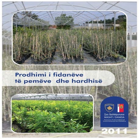 Prodhimi i fidaneve te pemeve frutore dhe hardhise | PDF