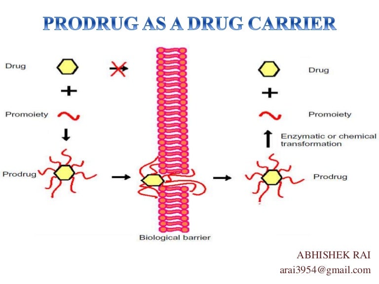 Prodrug as drug career