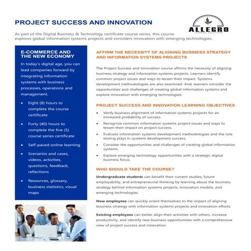 Project Success and Innovation | PDF