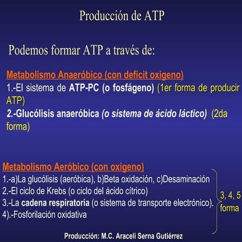 PRODUCCIÓN DE ATP | PPT