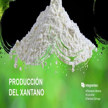 Produccion del Xantano.pptx