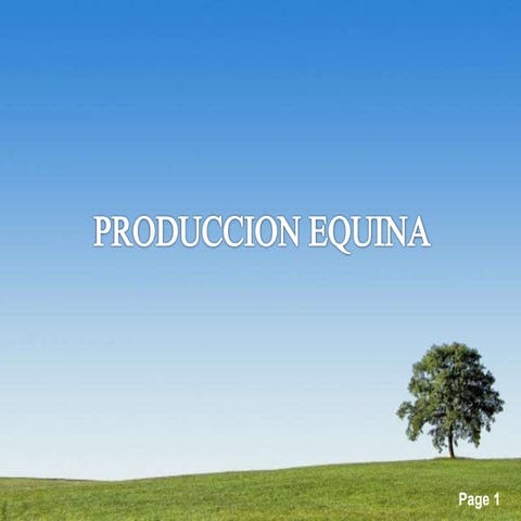 Produccion equina | PPTX