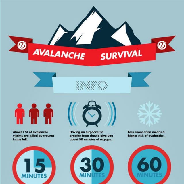Avalanche Survival Infographic | PDF